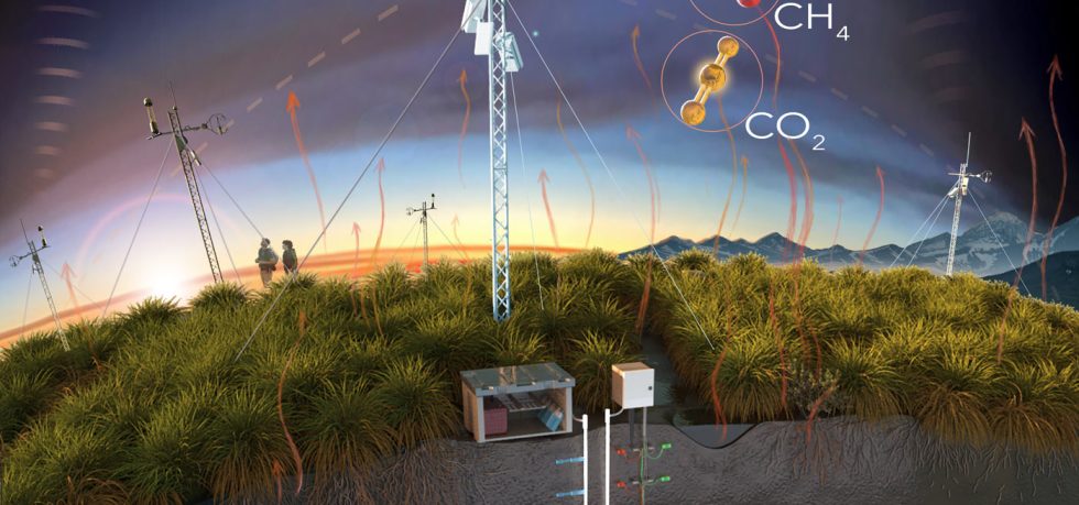 AWARE - ARCTIC CARBON WARNING NETWORK